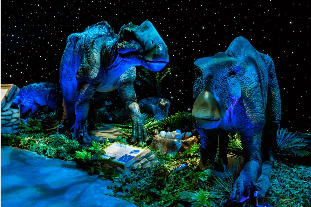 Get Tickets To Seattle’s Jurassic-Themed Park And Come Face To Face ...