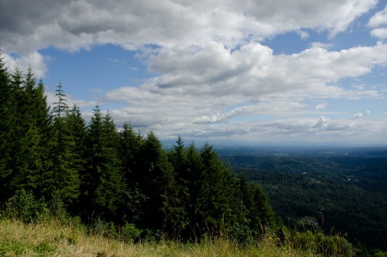 The Top 10 Washington State Parks To Check Off Your Bucket List