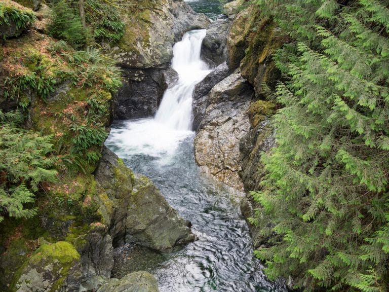 The Top 10 Washington State Parks To Check Off Your Bucket List