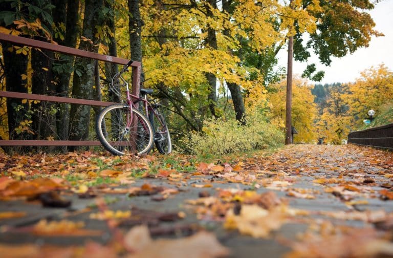 45 Ideas For Your Seattle Fall Bucket List, From Spooky Events To Cozy ...