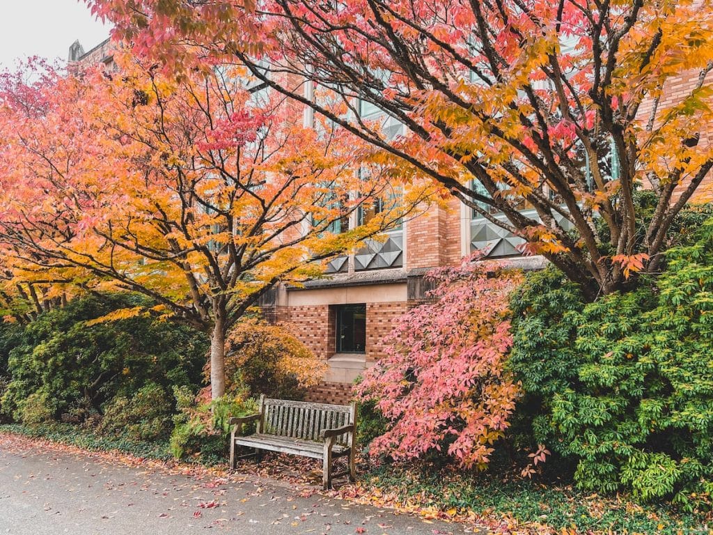 45 Ideas For Your Seattle Fall Bucket List, From Spooky Events To Cozy ...