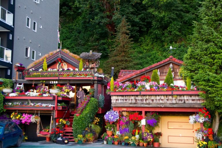 Here The Top 35 Fun Things To Do In West Seattle