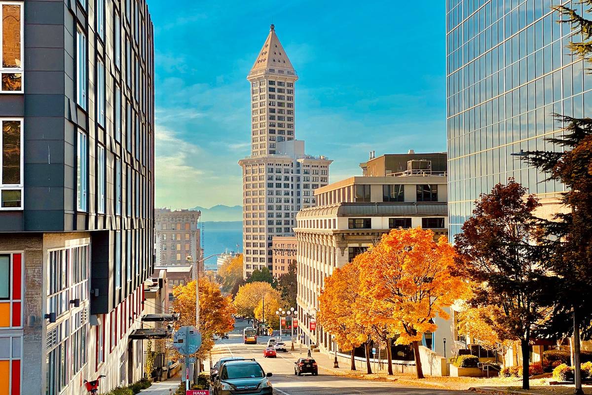 45 Ideas For Your Seattle Fall Bucket List, From Spooky Events To Cozy ...