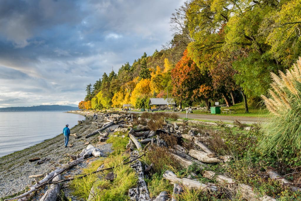 The Top 10 Places To See Fall Foliage In Seattle