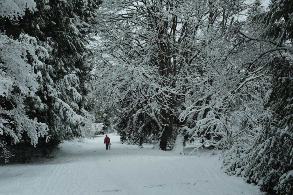 The Ultimate Seattle Winter Bucket List