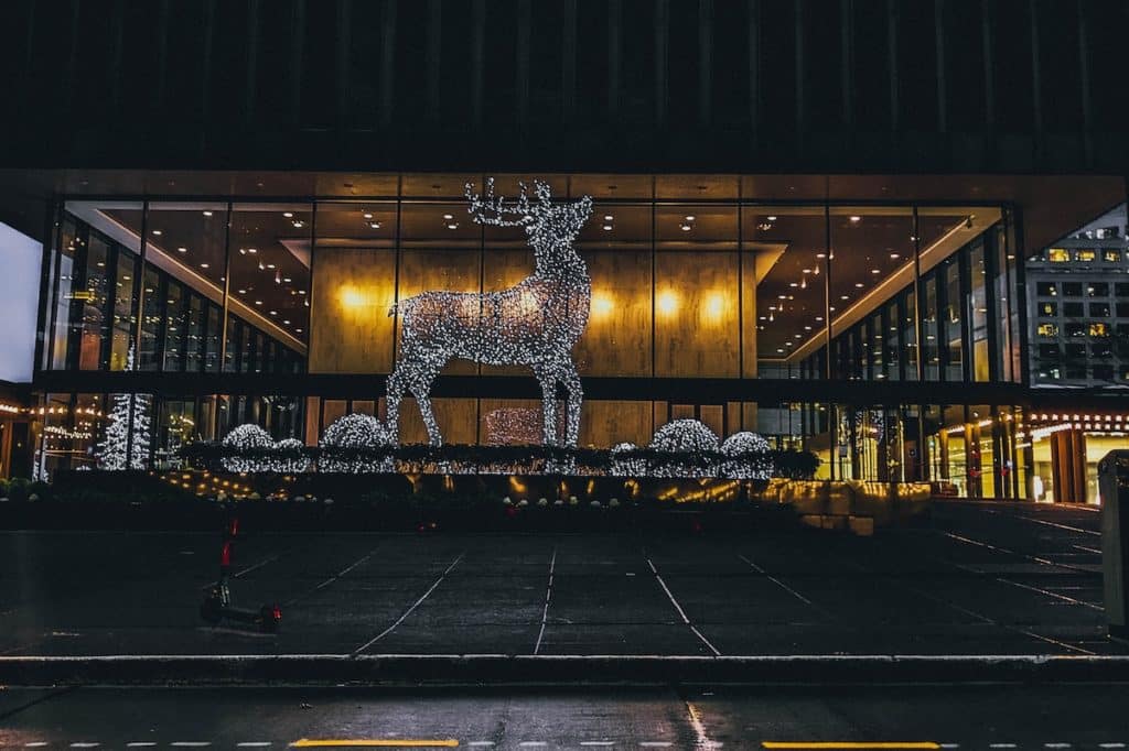 The 12 Best Places To See Holiday Light Displays In Seattle This Winter