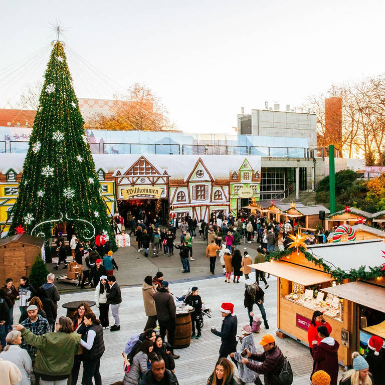 5 Stunning Seattle Christmas Trees To View This Holiday Season