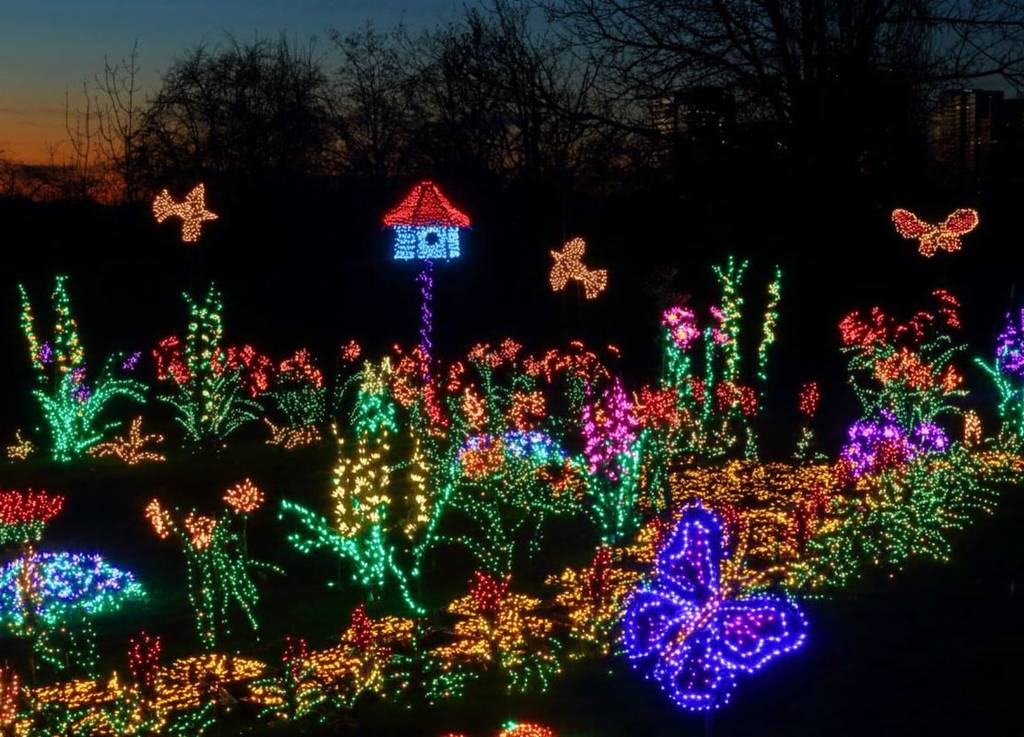 The 12 Best Places To See Holiday Light Displays In Seattle This Winter