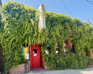 The 46 Best Bars In Seattle, According to Seattleites Themselves