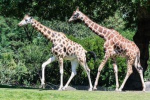 50 Summery Things To Do This July In Seattle