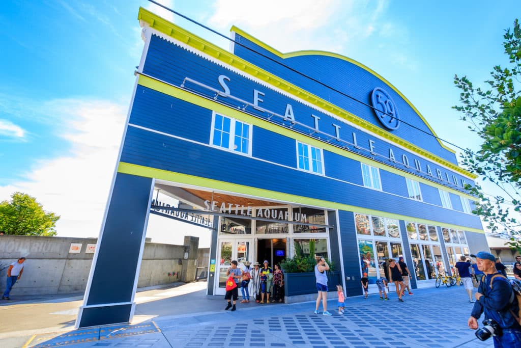 The 55 Most Essential Things To Do In Seattle At Least Once