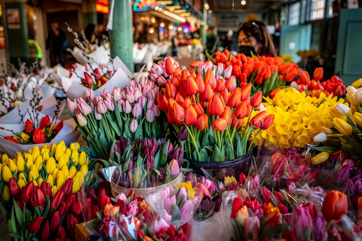 The Top 10 Reasons Locals Look Forward To Spring In Seattle