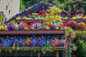 What To Do In Seattle This Spring: Your Seattle Spring Bucket List