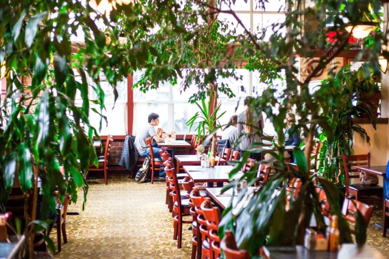 11 Incredible Greek Restaurants In Seattle To Check Out Today!