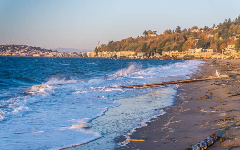 The 9 Best Seattle Beaches For Swimming, Sunbathing, And Fun