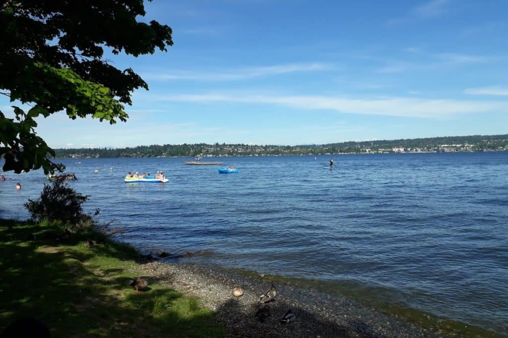 The 9 Best Seattle Beaches For Swimming, Sunbathing, And Fun