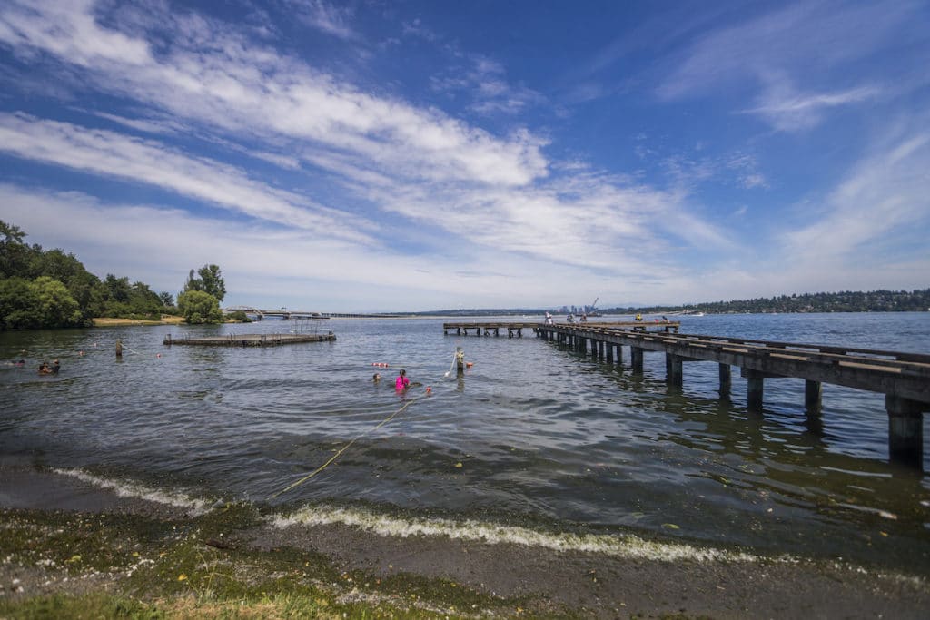 The 9 Best Seattle Beaches For Swimming Sunbathing And Fun