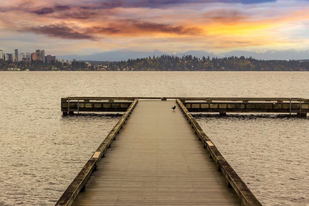 The 9 Best Seattle Beaches For Swimming, Sunbathing, And Fun