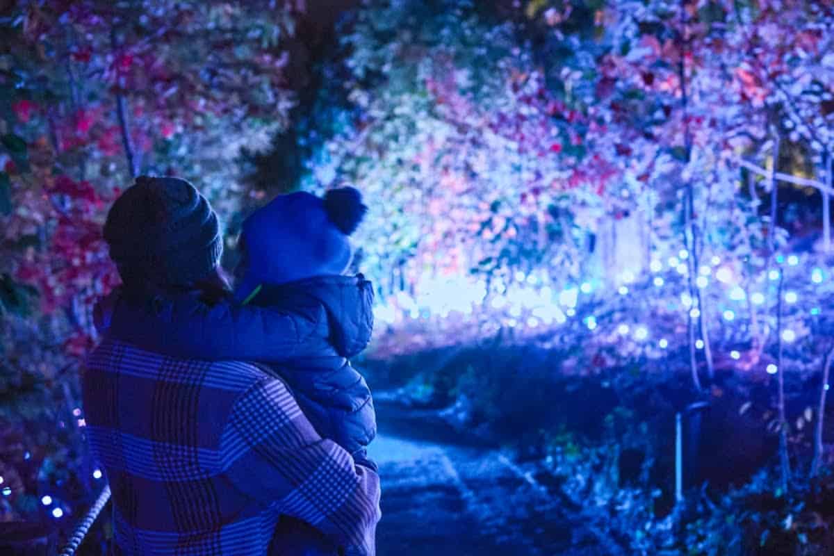 Astra Lumina’s Night Walk Through A Botanical Garden Is Open!