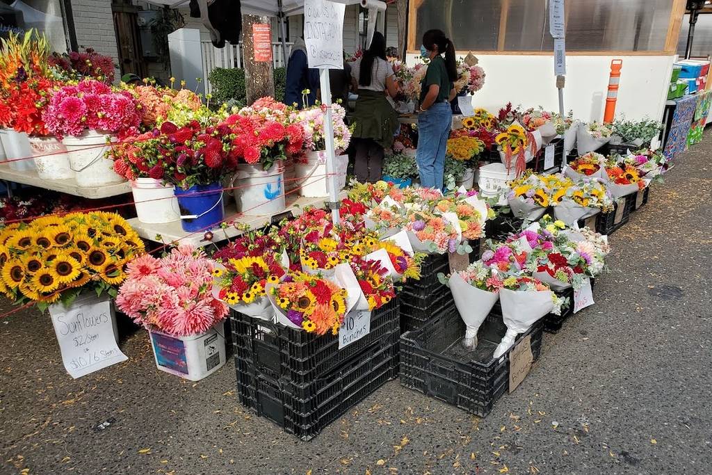 Where To Find Spring Flowers In Seattle And Nearby This Season