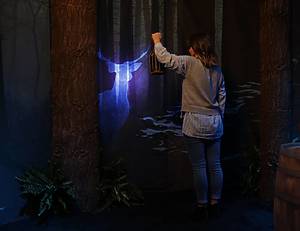 What To Do In Seattle This Spring: Your Seattle Spring Bucket List