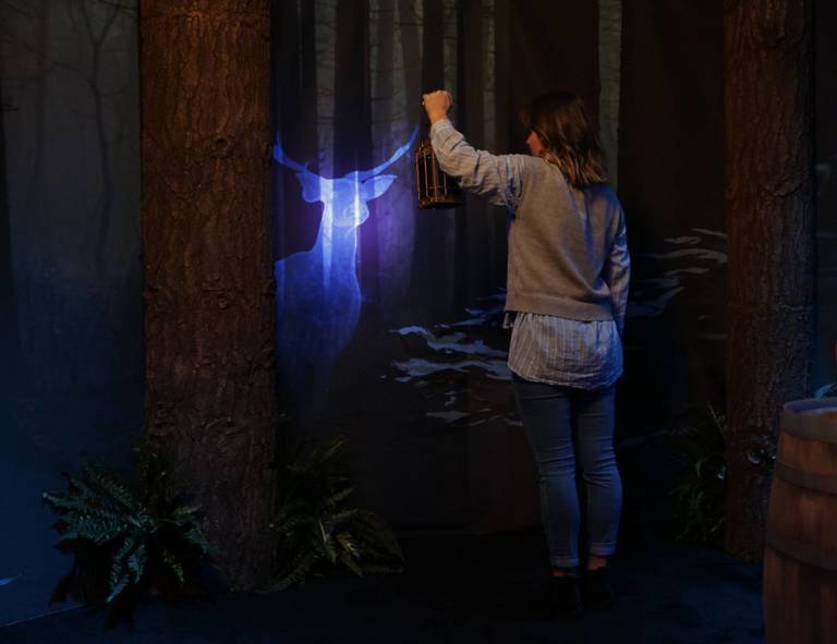 What To Do In Seattle This Spring: Your Seattle Spring Bucket List