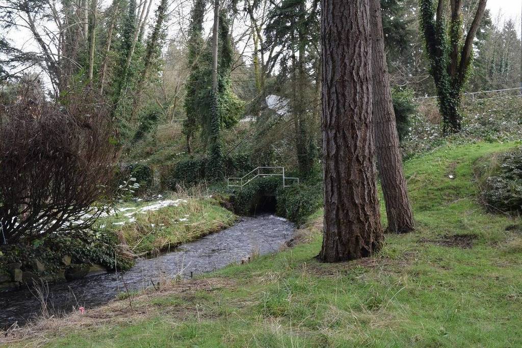 These Are The 4 New Seattle City Parks That We Can't Wait To Picnic In