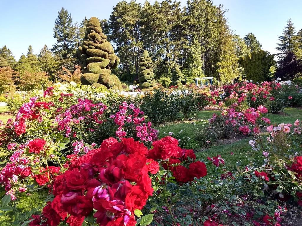 These 13 Hidden Gems Are Seattle's Most Magical Free Attractions