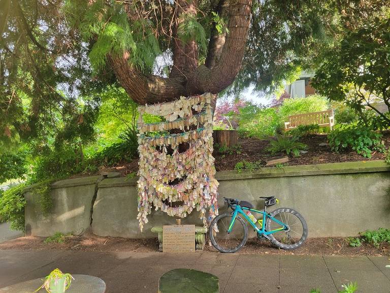 These 13 Hidden Gems Are Seattle's Most Magical Free Attractions