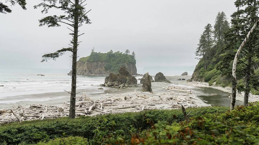 Here's Why Ruby Beach Is One Of The World's Best Beaches