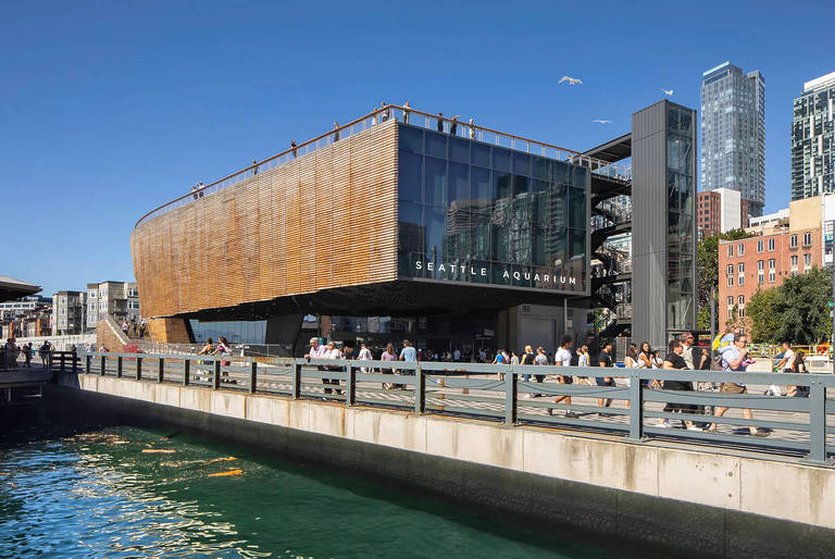 50 Fun Things To Do With Kids In Seattle Year-Round