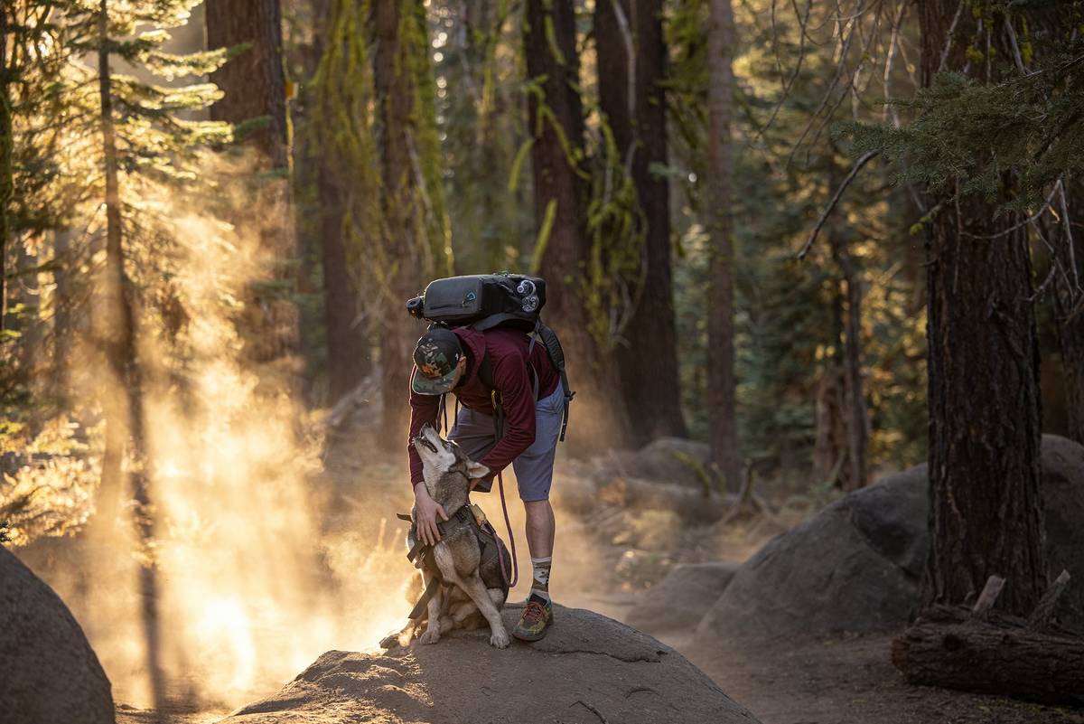 The Top 5 Dog-Friendly Hikes In The Seattle Area, Including An Island ...