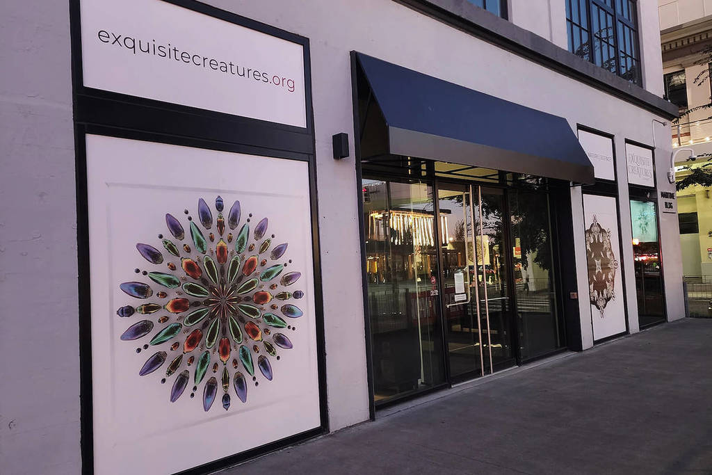 This New Temporary Exhibition On The Seattle Waterfront Displays ...