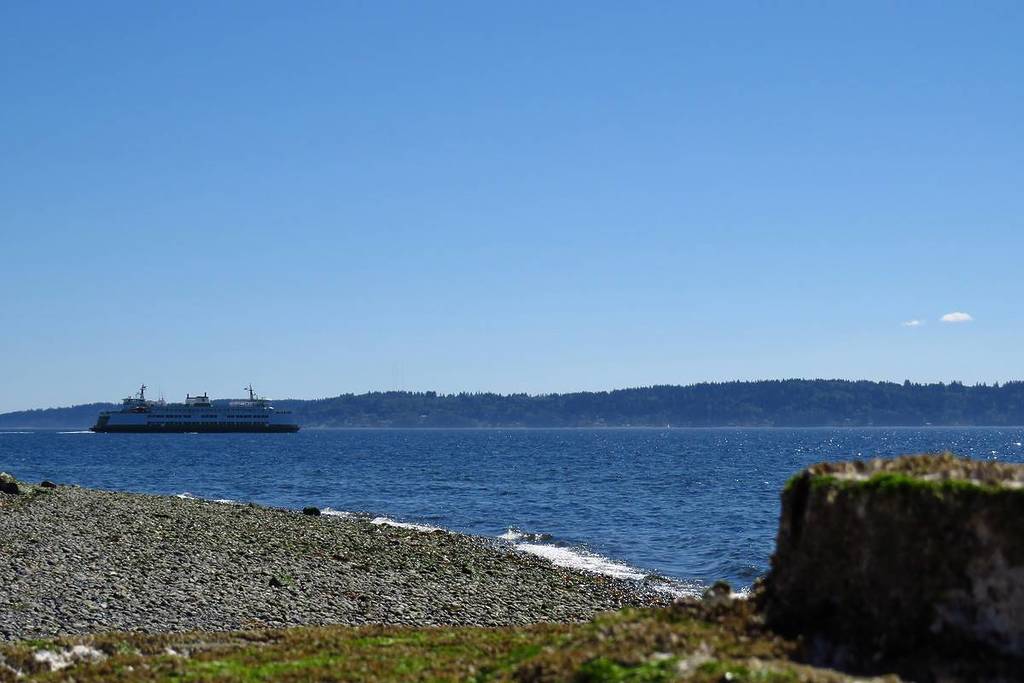 Stressed? Let It All Out With Scream Club Seattle In Lincoln Park This ...