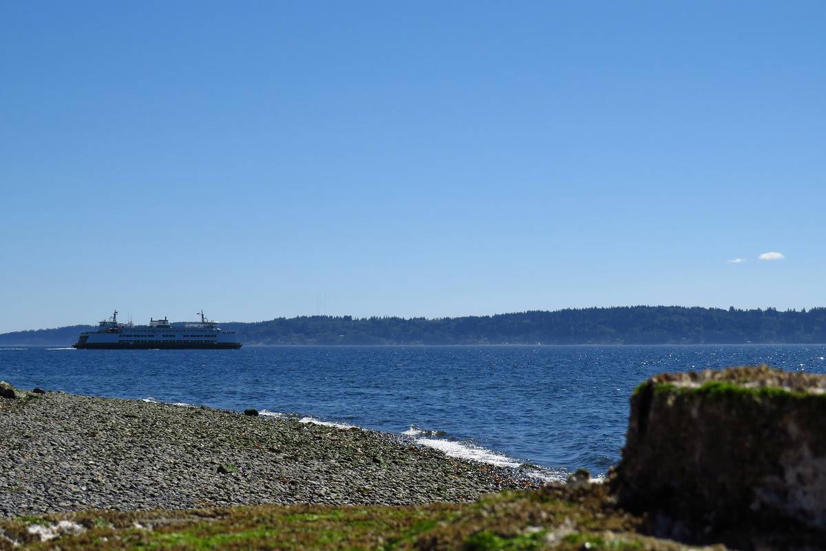 Stressed? Let It All Out With Scream Club Seattle In Lincoln Park This ...