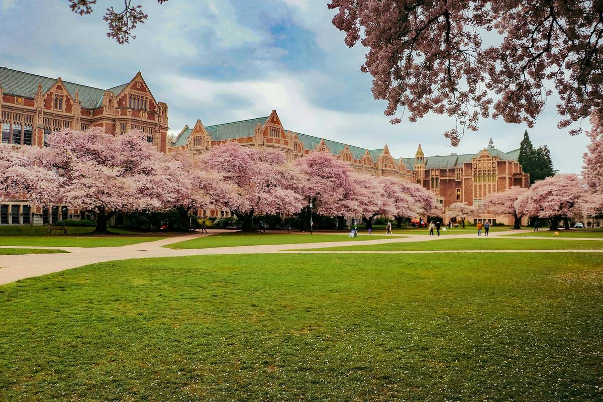 The Top 10 Things To Do In Seattle This Spring: Your 2026 Seattle ...
