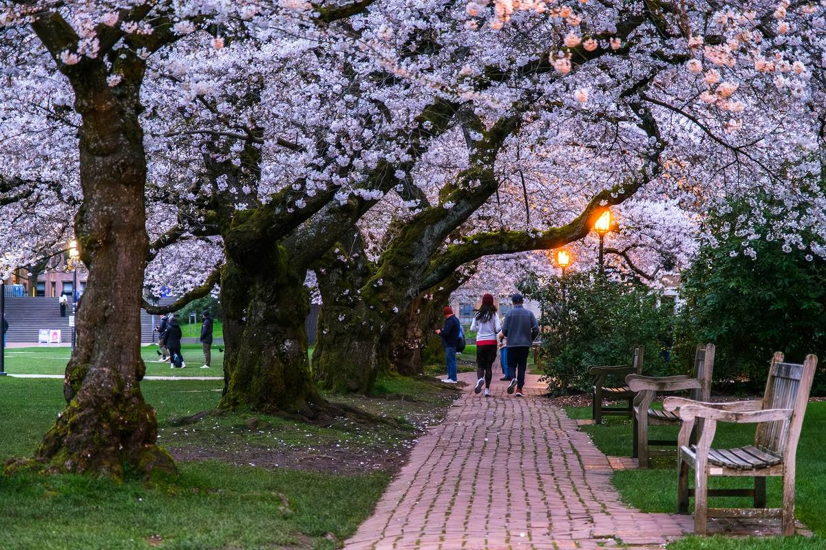 The Top 10 Amazing Things To Do In Seattle This April