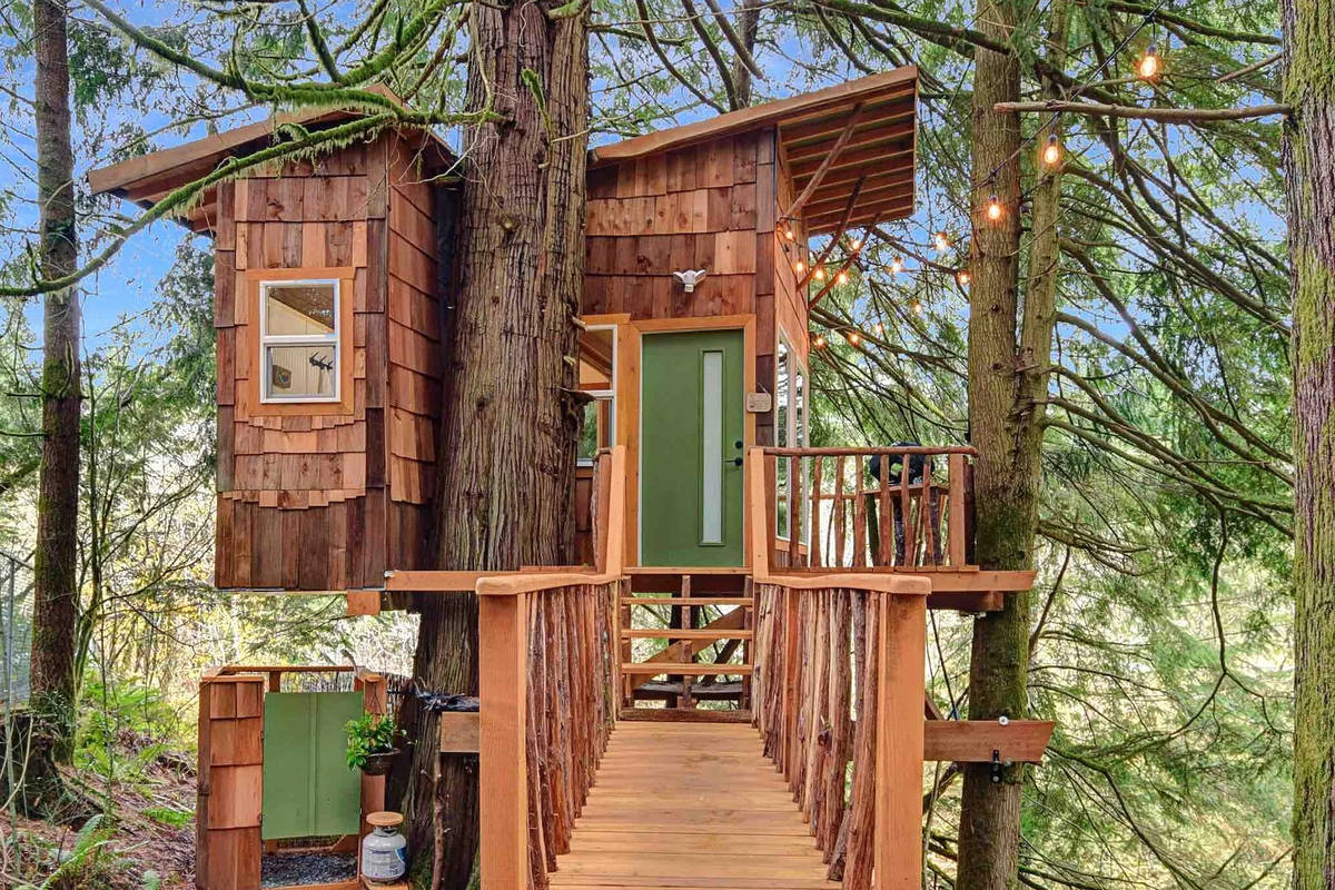 Why This Secluded Washington Treehouse Is One of Airbnb’s Most Wish ...