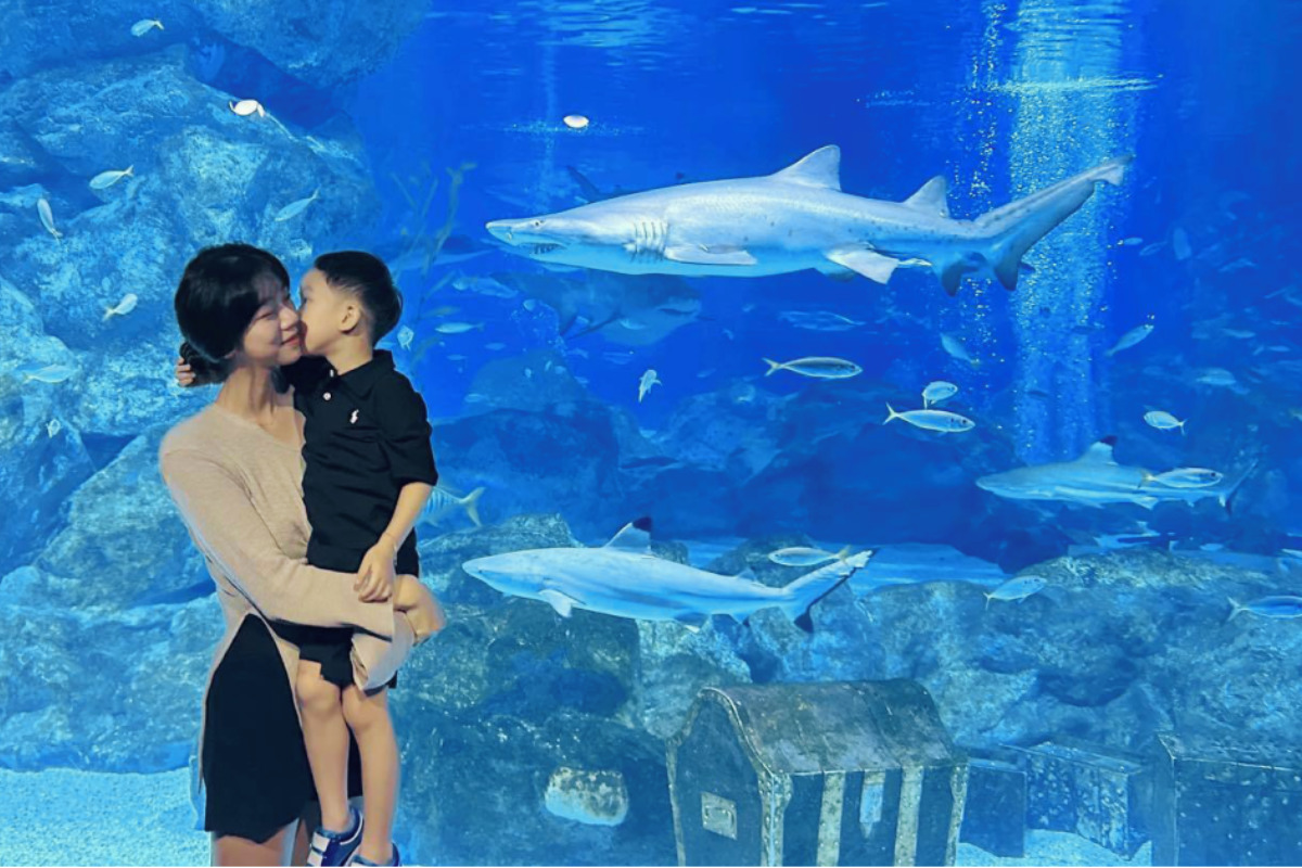 COEX Aquarium: Visitor Guide To Seoul's City-Centre Aquarium