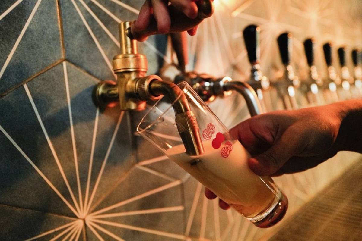 Seoul Craft Beer Tour Essentials