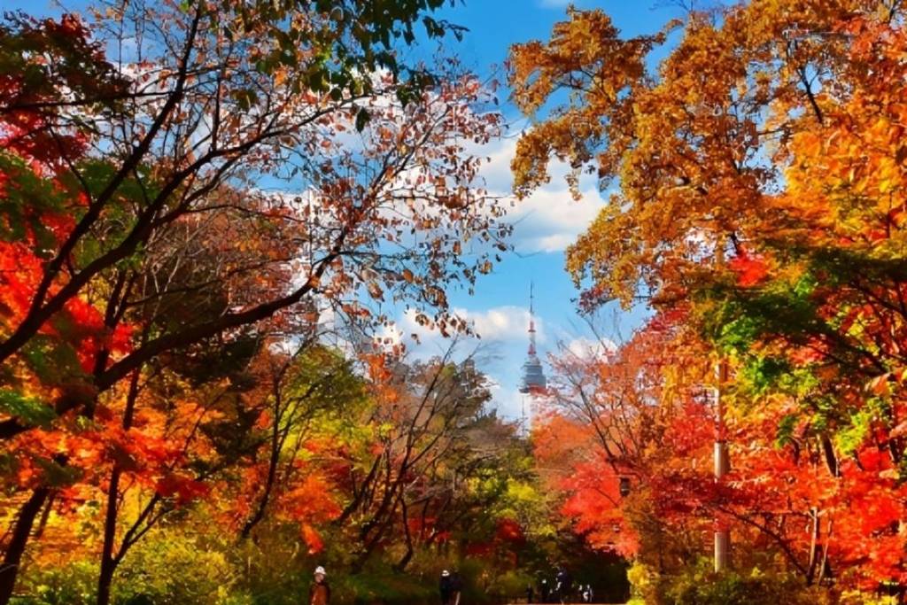 8 Places to See Autumn Leaves in Seoul Now