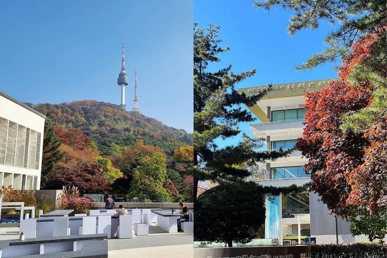 From hanok libraries to architecture awards, 7 libraries in Seoul worth ...