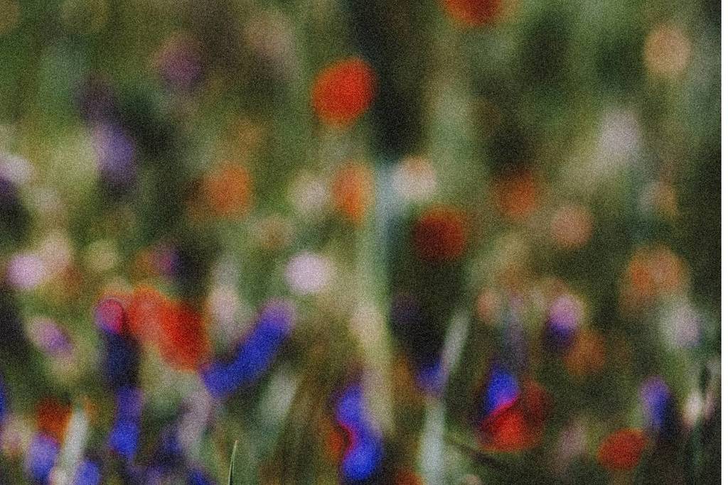 19th Century Impressionism Recreated by a 21st Century Photographer