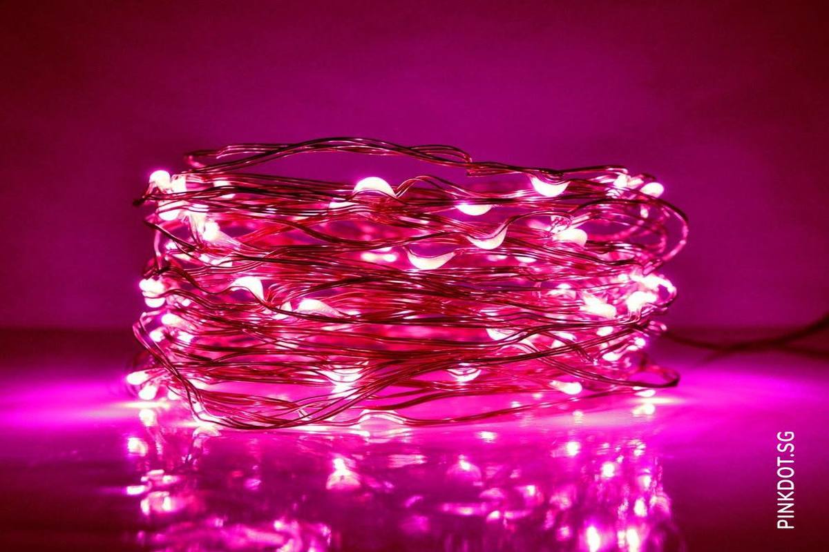 Support Pink Dots Freedom To Love Movement This Pride Month