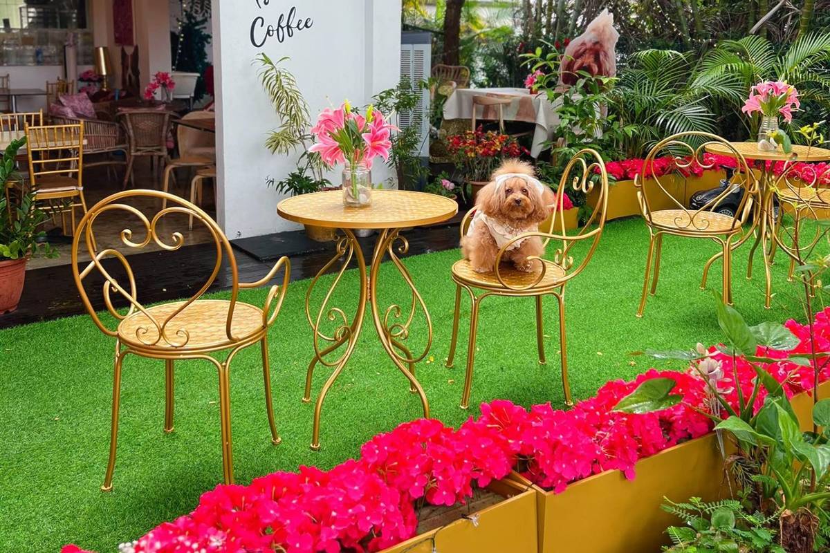 25 Best Dog-Friendly Restaurants And Cafes In Singapore (2025)