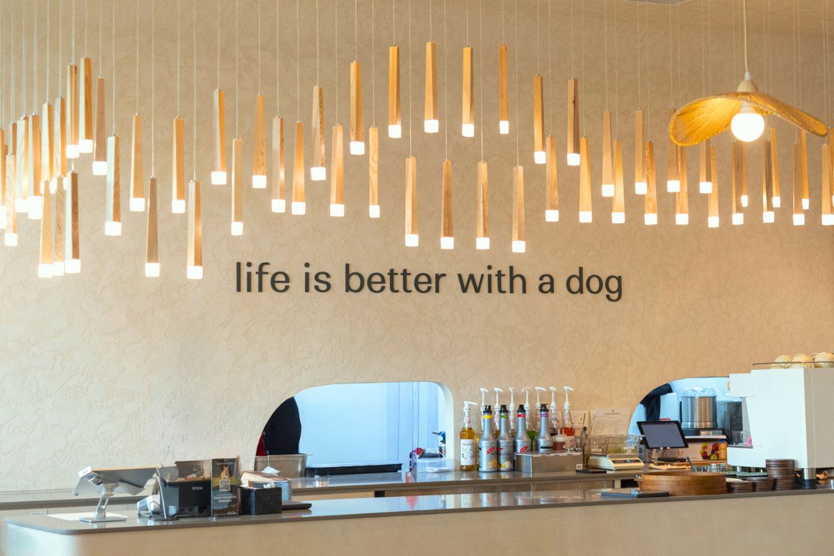 27 Best Dog-Friendly Restaurants And Cafes In Singapore (2024)