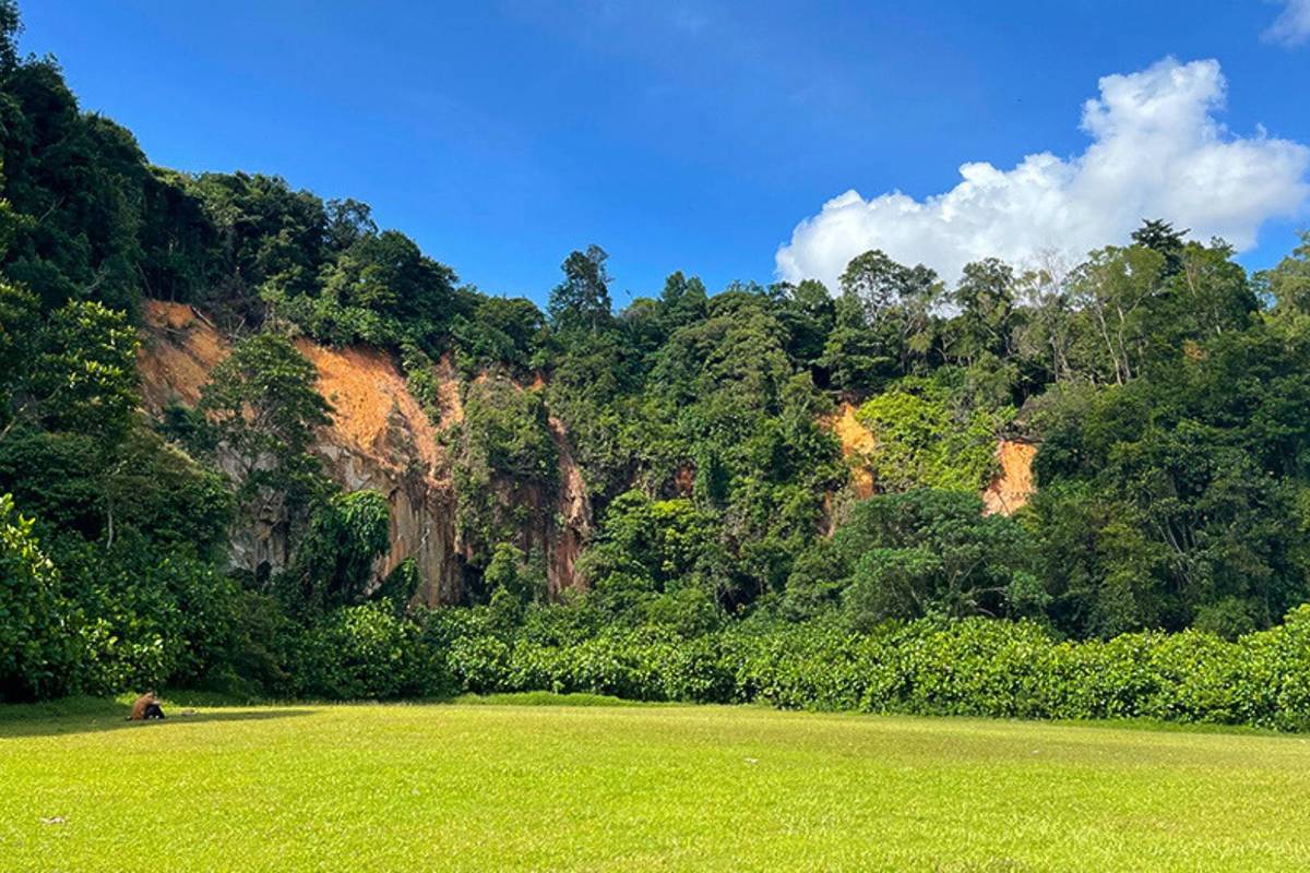 19 Best Hiking Trails In Singapore For Your Next Adventure (2025)