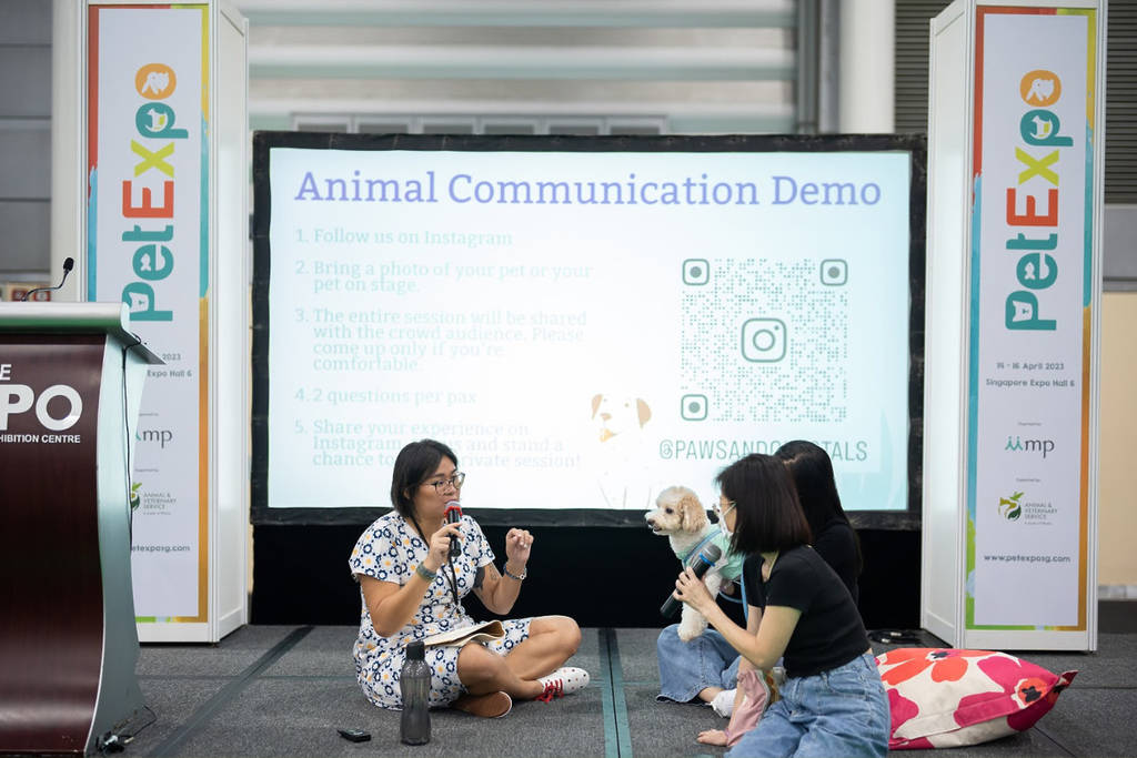 PetExpo Singapore : Largest Pet Fair Is Back This March 2024