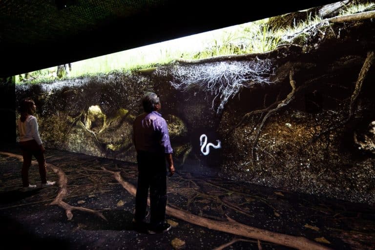 Sensory Odyssey At ArtScience Museum - Secret Singapore