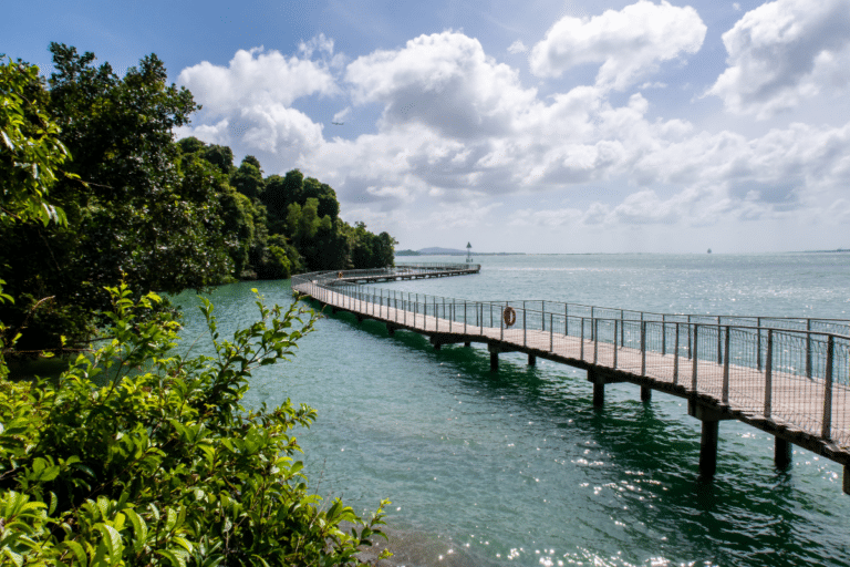 Camping Singapore: The Best Camping Experiences